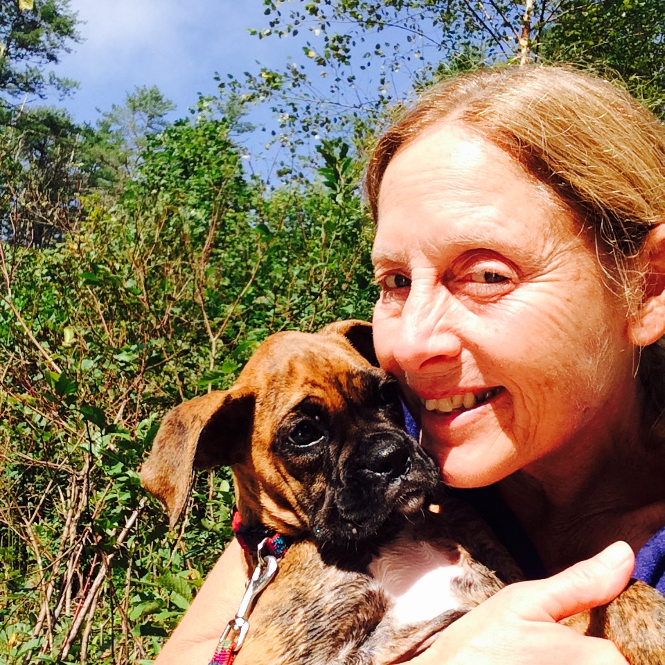 Aversive Training Methods – Now And Zen Dog Training